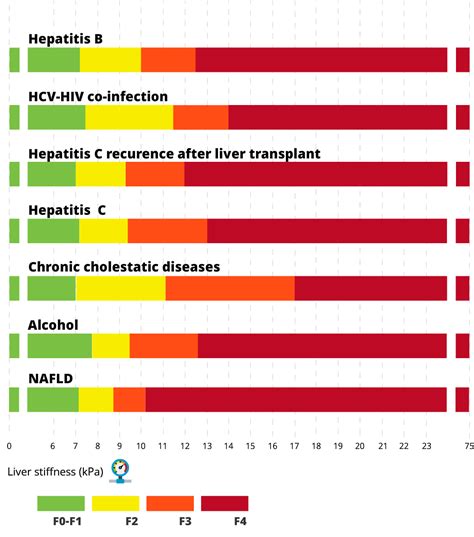 Making A Diagnosis Of Cirrhosis A Link To The Ahs Fatty Liver Pathway Cirrhosis Care