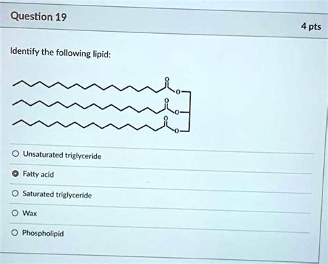 Solved Question 19 4 Pts Identify The Following Lipid Unsaturated Triglyceride Fatty Acid