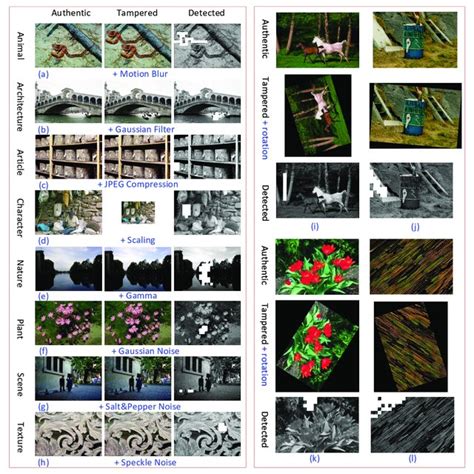 examples of tamper detection and location for all manipulations shown