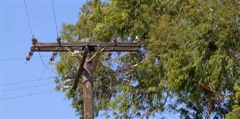 Types Of Faults And Effects In Electrical Power Systems Electronicshacks