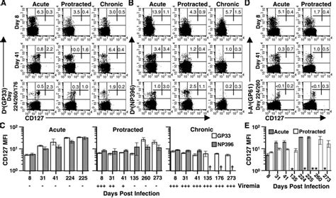 Dynamics Of Cd127 Expression On Virus Specific T Cells The Expression