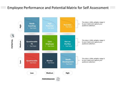 Employee Performance And Potential Matrix For Self Assessment Presentation Graphics