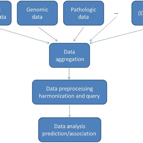 Schematic Diagram Of Multi Omics Analysis Download Scientific Diagram