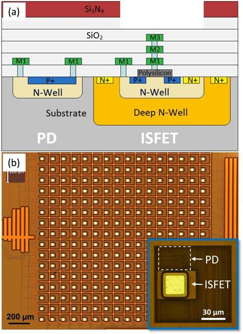 a schematic diagram of one sensor cluster showing the internal