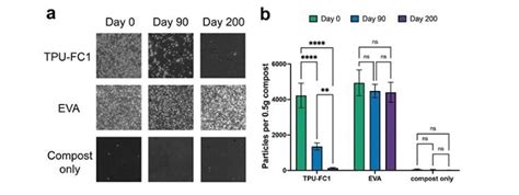 Bio Based Thermoplastic Polyurethane Introduces Biodegradable Microplastics