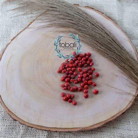 Jual BIJI SAGA KERAJINAN RUSTIC Shopee Indonesia