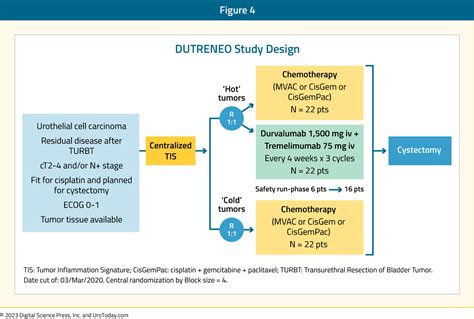 The Current Landscape Of Neoadjuvant Immunotherapy Agent Combinations