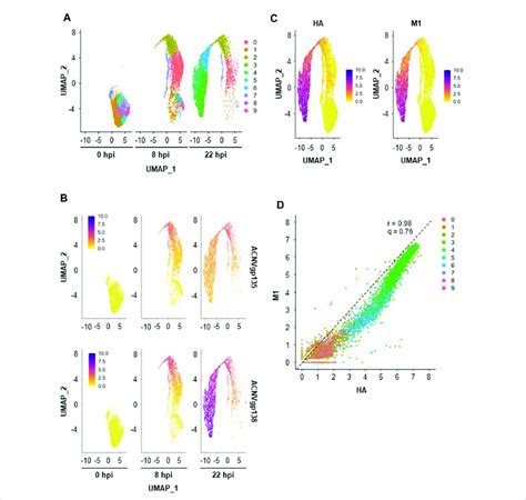 Insect Cells Clustering And Transgenes Expression A Merged Scrna Seq Download Scientific