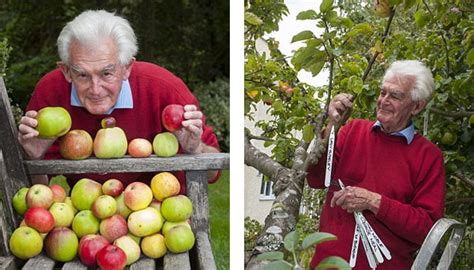 Apple Tree Is Poisonous With Different Apple Varieties On Tree