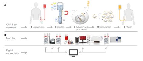 Autologous Car T Cell Manufacturing Using A Semiautomatic Closed Modular Workflow Regmednet
