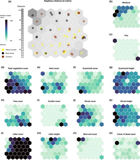 Self‐organizing Map Som Output Neurons Shown As Hexagons Download Scientific Diagram