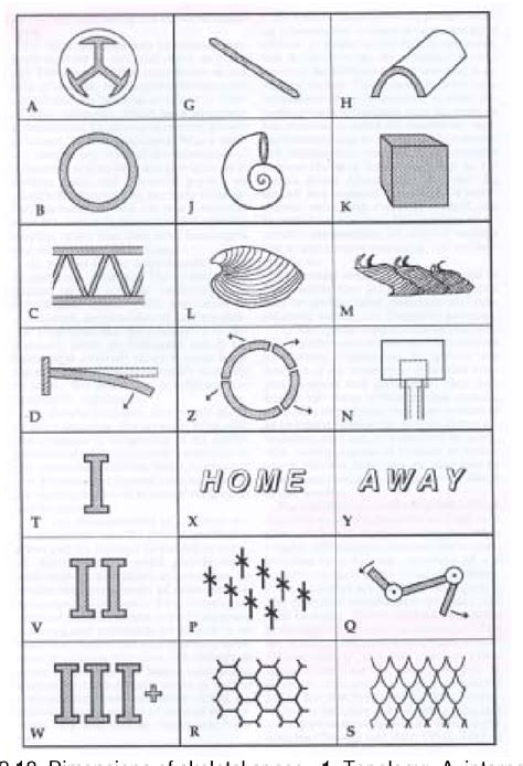 Figure 2 1 From Modal Concepts In The Biological Sciences Semantic Scholar
