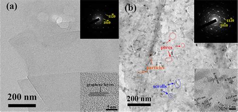 TEM Images Of A GF And B GG Download Scientific Diagram