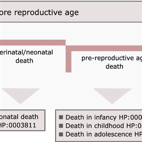Genes Essential For Human Organism Development Defining A Set Of