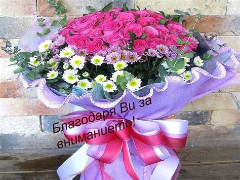 Портфолио на Татяна Иванова детски учител Ppt