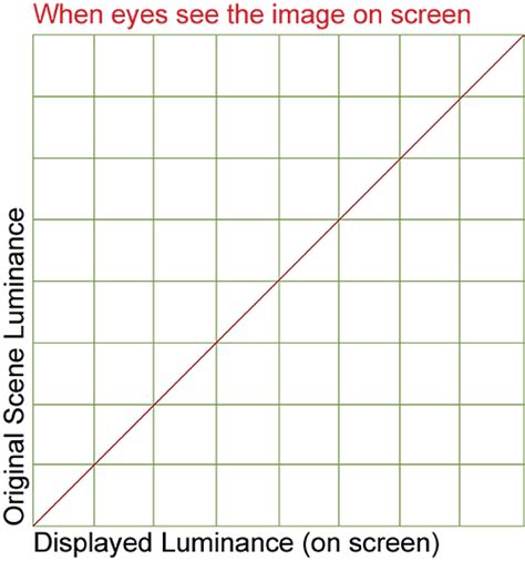 Demystifying Gamma Why Do You Need To Worry About Gamma Correction APN Photography
