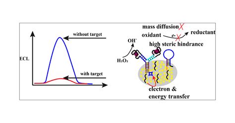 Sensitive And Programmable Signal Off” Electrochemiluminescence