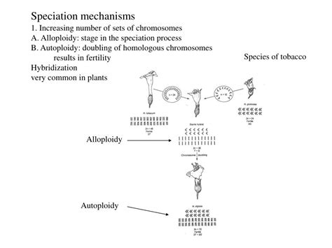 Ppt Speciation The Origin Of Species How Many Species Number Described 1 5 1 6 Million