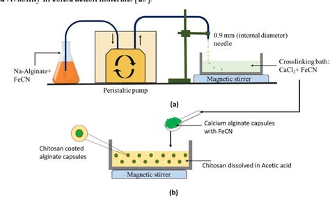 Figure 1 From Tunable Chitosan Alginate Capsules For A Controlled Release Of Crystallisation