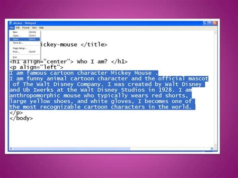 Html Programing