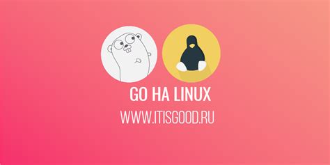 🐧 Как установить язык Go на Linux It Is Good