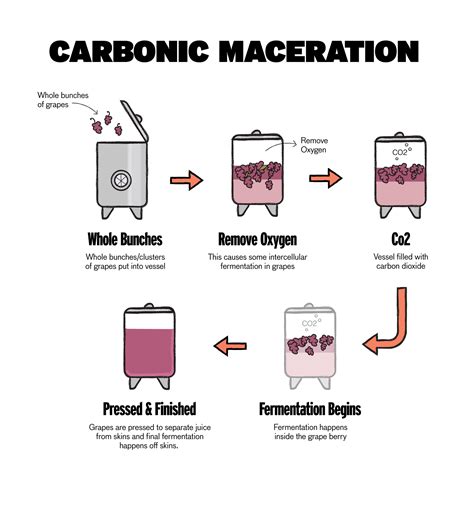 Wine Fermentation