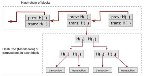 默克尔树（merkle tree）