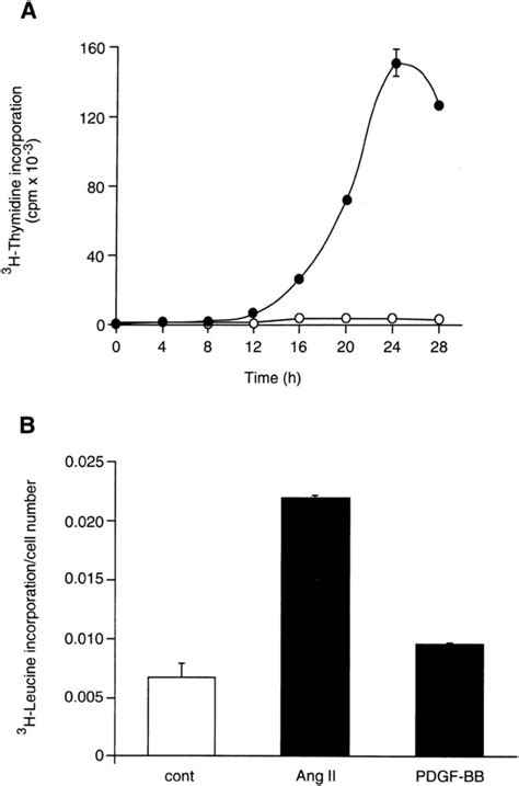 Comparative Effects Of Ang Ii And Pdgf Bb On The Growth Of Aortic Smc