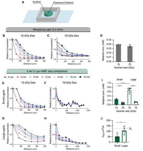 Particle Fraction Is A Bioactive Cue In Granular Scaffolds Pmc