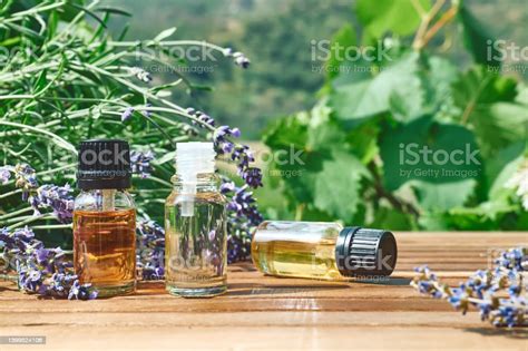 천연 에센셜 라벤더 오일과 신선한 보라색 라벤더 꽃이 나무 테이블에 자연 녹색 배경에 닿은 병 아로마 테라피 대체 의학 및 향수 개념 공간을 복사합니다 0명에 대한 스톡