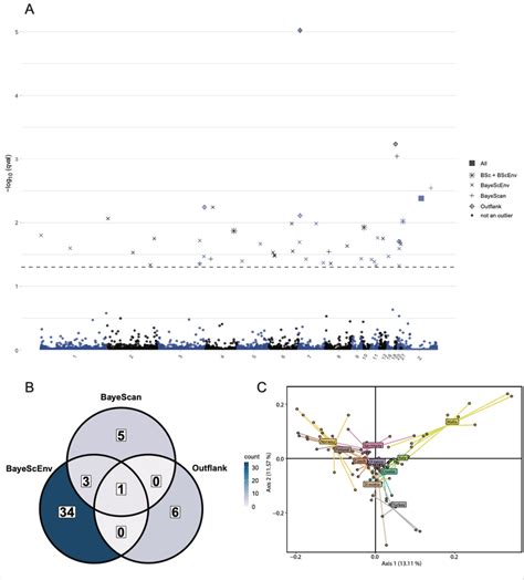 signatures of selection a outliers across the genome manhattan plot