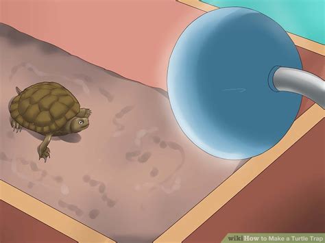 How To Make A Turtle Trap 14 Steps With Pictures WikiHow