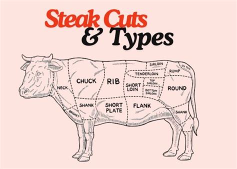 What Are The Different Types Of Steak Cook A Steak