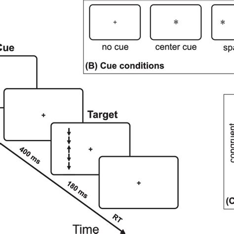 Experimental Procedure An Example Of The Sequence Of Events For A