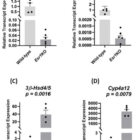Pairwise Analysis Shows Liver Transcripts Affected By Esr1 Knockout In