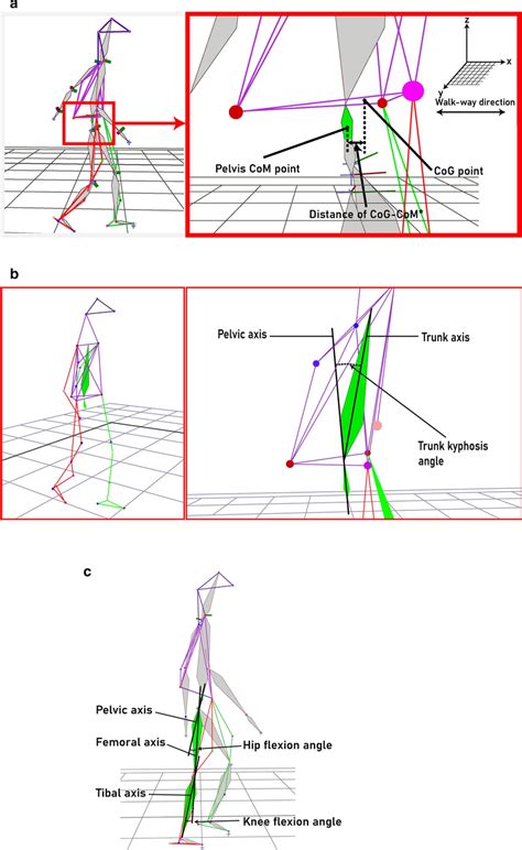 A Calculation Of The Distance Between The Center Of Gravity Cog From Download Scientific