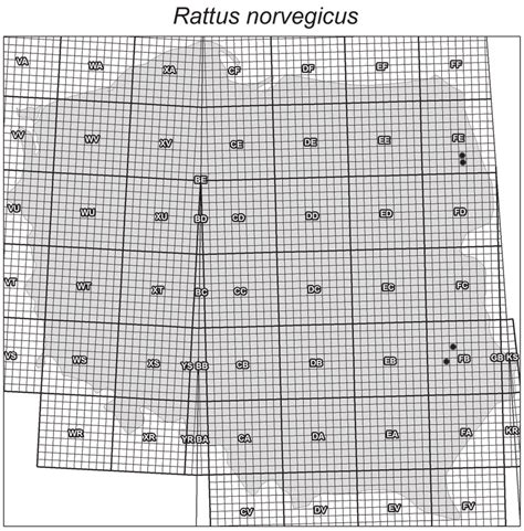 Map Of The Occurrence Of The Common Rat Rattus Norvegicus Download