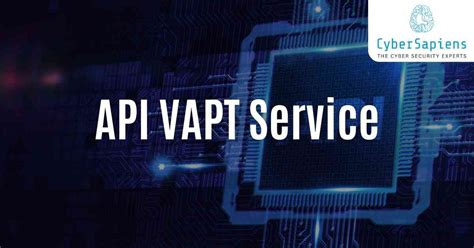 api vapt cybersapiens