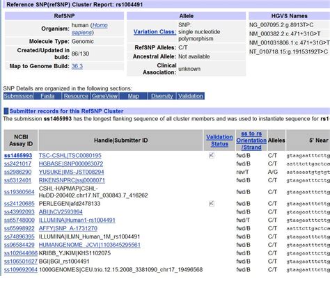 GenGen Change Allele Coding In BIM File