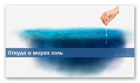 Почему море солёное: какие процессы влияют на уровень соли