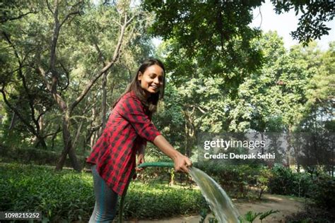 Tree Propagation Photos And Premium High Res Pictures Getty Images