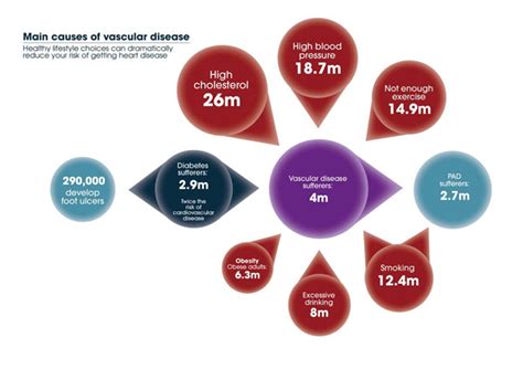 September Is Vascular Disease Awareness Month Brunel Pcn