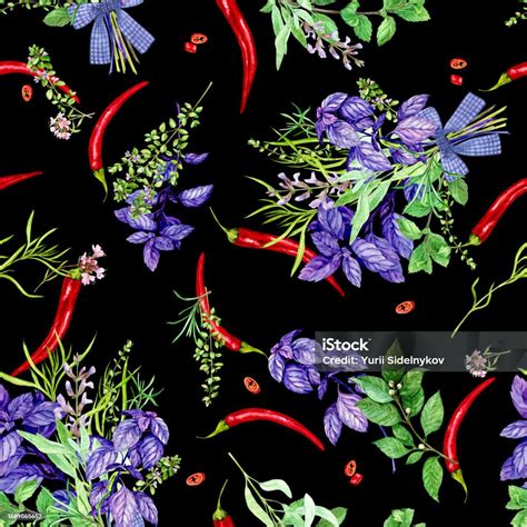 매운 허브 수채화 그림 월계수 민트 보라색 바질 검은 바탕에 빨간 고추 메뉴 장식 주방 직물 디자인 향기로운 향신료 0명에 대한 스톡 벡터 아트 및 기타 이미지 Istock