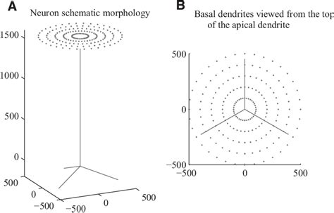 Figure 1 From Eeg Generator—a Model Of Potentials In A Volume Conductor