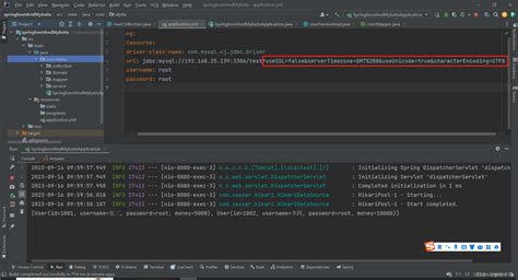数据源配置出现com mysql cj jdbc exceptionsmunicationsexception