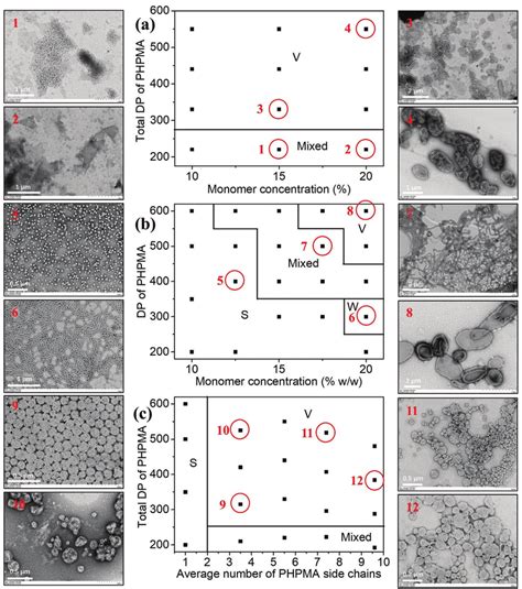 Block Copolymer Phase Diagram Flory Phase Separated Block Co