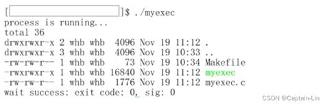 【linux初阶】进程程序替换 初识、原理、函数、应用 and makefile工具的多文件编译 阿里云开发者社区