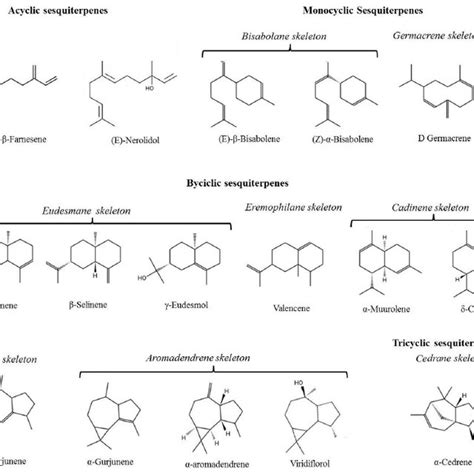 Headspace Solid Phase Microextraction Coupled With Gas Chromatography Download Scientific