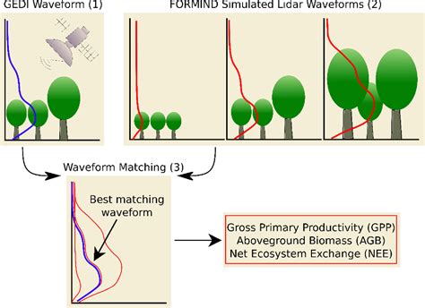 figure 3 from mapping amazon forest productivity by fusing gedi lidar