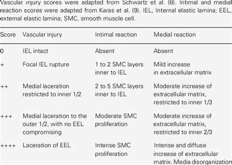 Semiquantitative Scoring System For Histological Analysis Of Vascular Download Table
